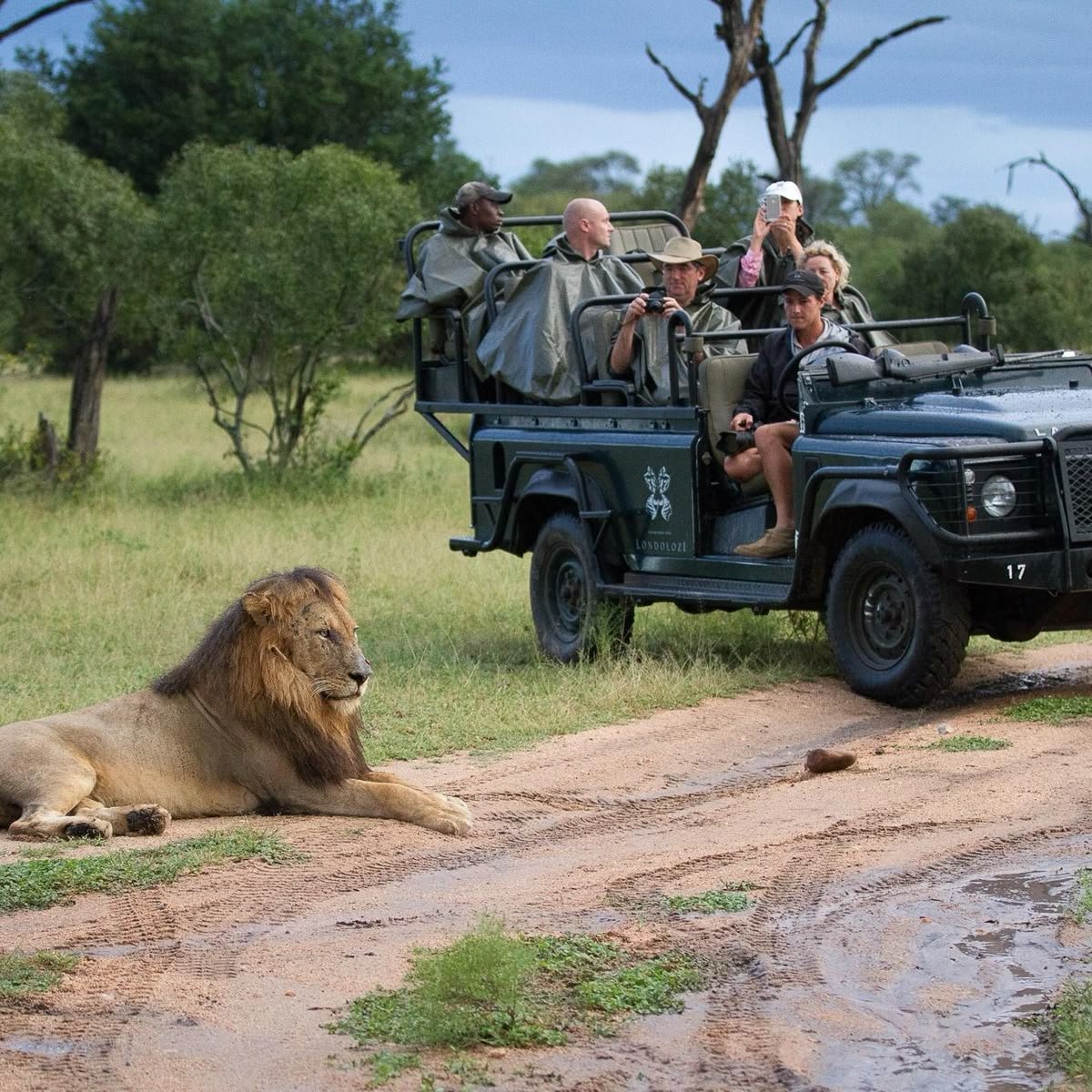 How Much Is A Safari In Tanzania? Planning Your Dream Trip - Tanzania ...